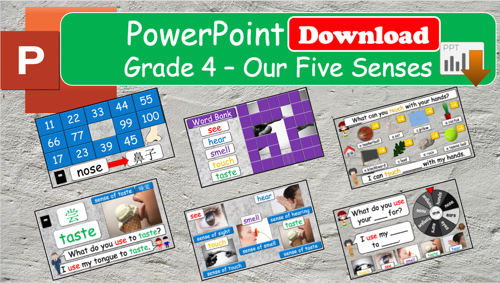 Grade 4 - ESL Lesson - Our Five Senses - PowerPoint Lesson – Teacher ...